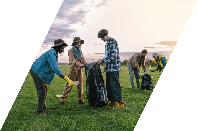 Netceed - Shaping the future of communications networks